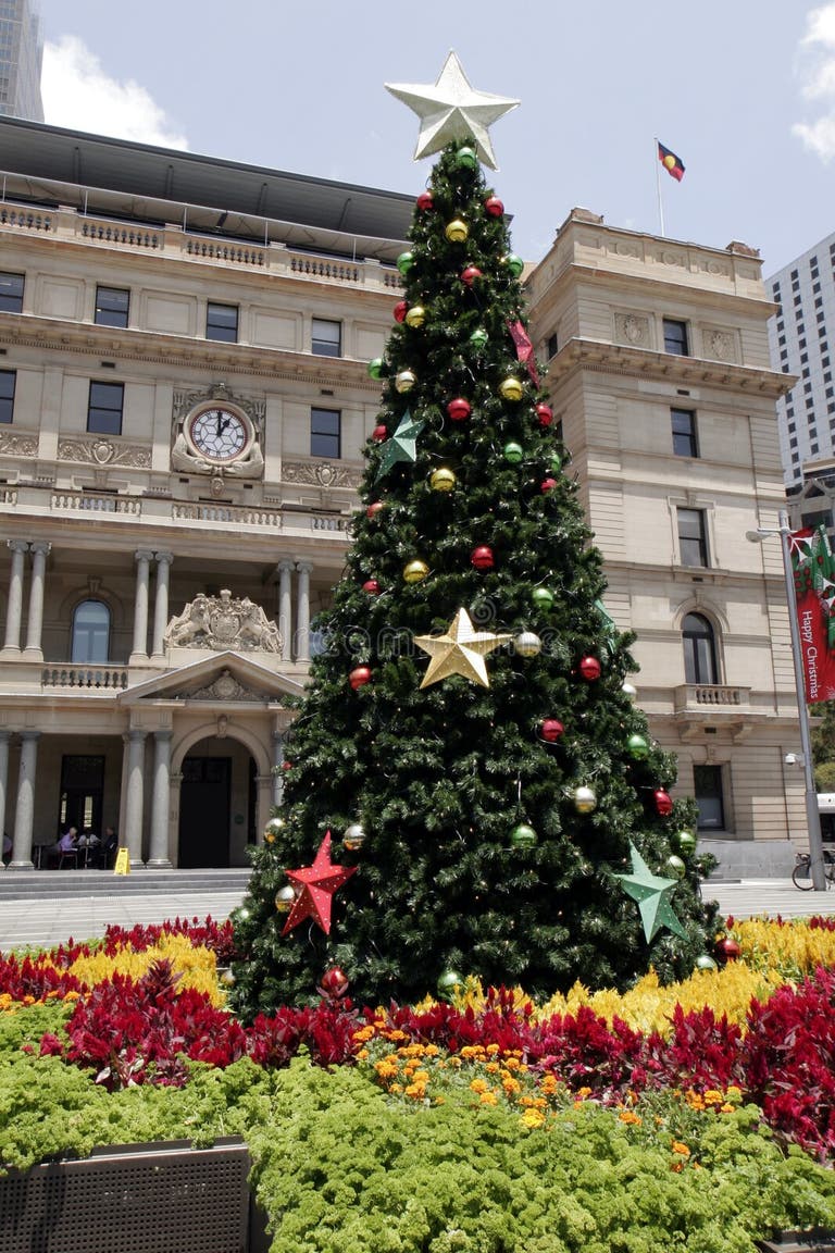 968 Australian Christmas Tree Stock Photos - Free & Royalty-Free Stock ...