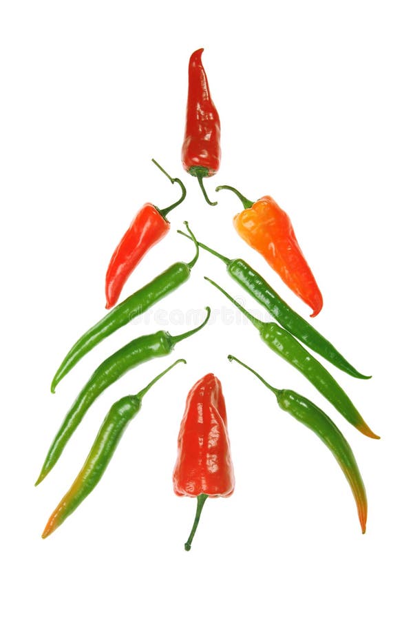 Christmas tree stock image. Image of vegetarian, isolated - 4646291