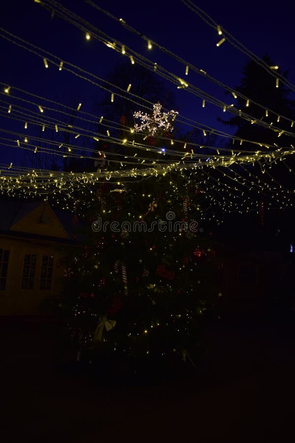 Warm Hour Christmas Ornaments Stock Photos - Free & Royalty-Free Stock ...