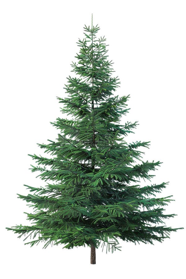 Christmas Tree Alone on Transparent Background Stock Illustration ...