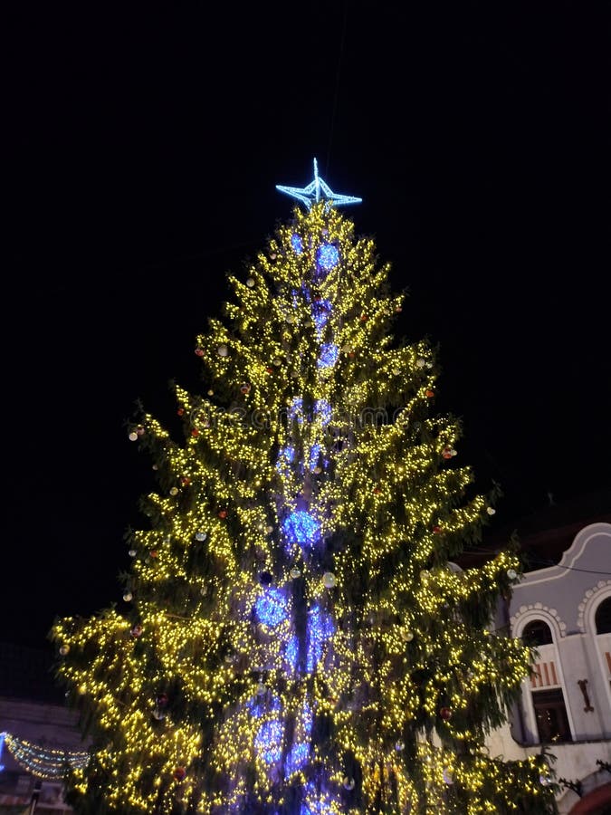 Christmas Tree in Baia Mare City, Romania Stock Image - Image of baia ...
