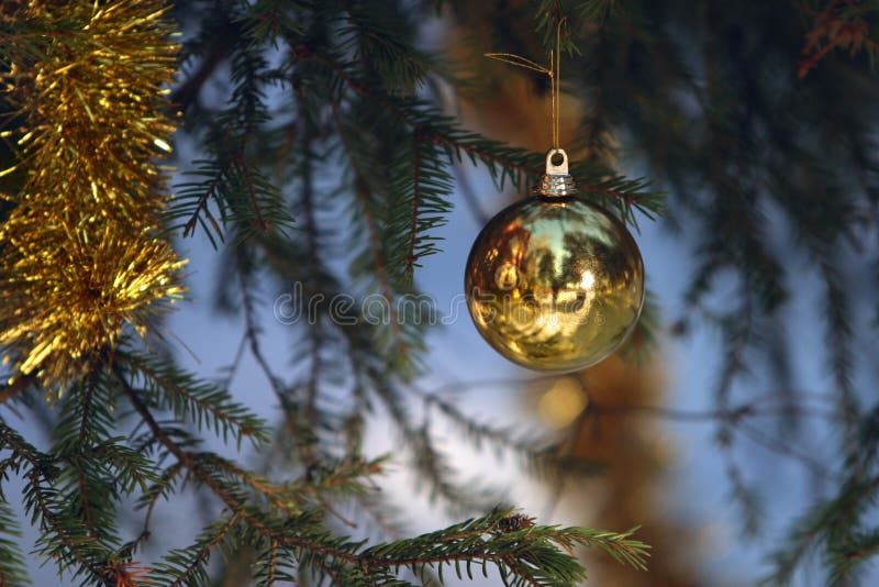 Christmas tree with ball stock image. Image of xmas, holiday - 1613603