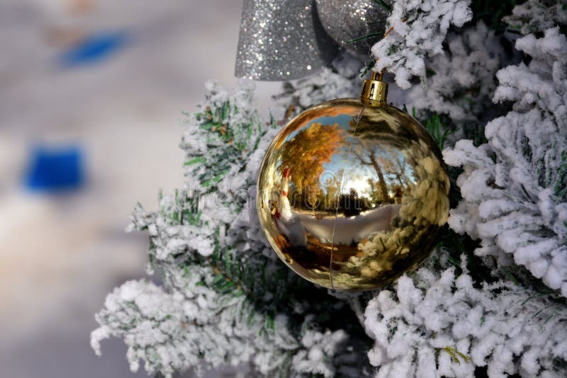 Christmas Tree Ball in the Park with Reflection of Trees Stock Image ...