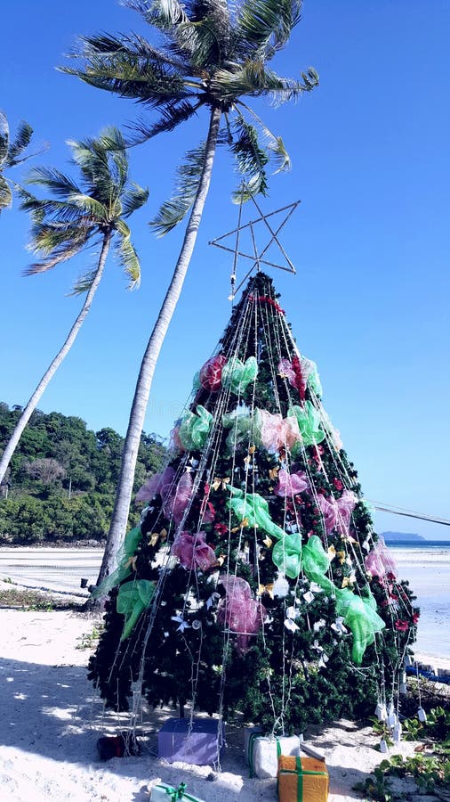 Christmas tree on a beach stock image. Image of ocean - 64571139