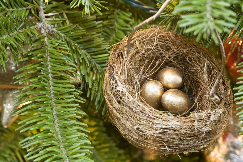 Christmas Tree Birds Nest stock photo. Image of ornaments - 9759636