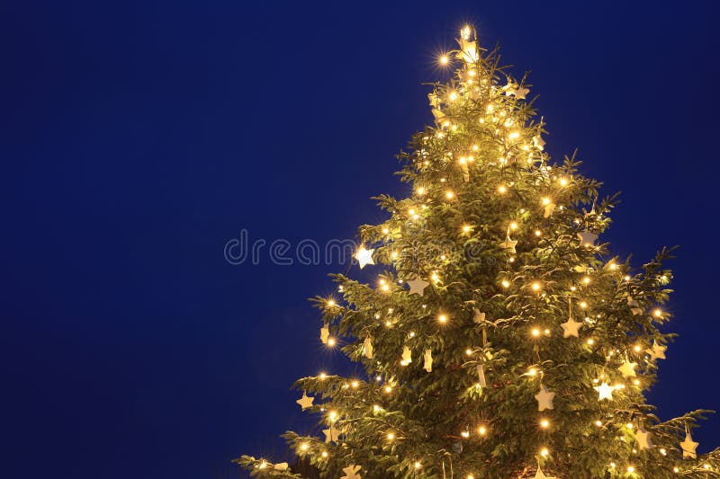 Christmas Tree at Blue Hour in Germany Stock Image - Image of snow ...
