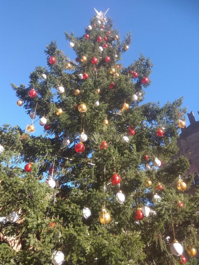 Christmas tree in Bologna stock photo. Image of located - 166660284