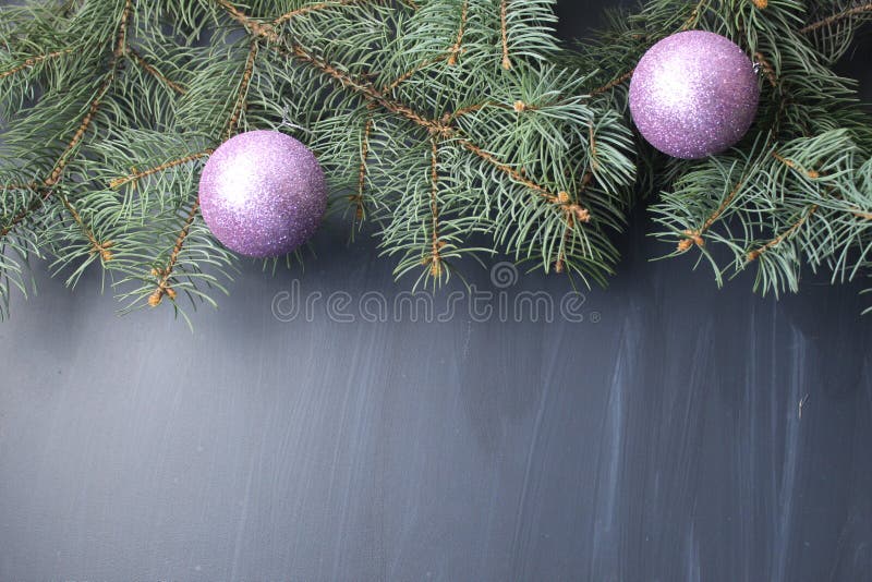 Christmas Christmas Tree Branch Background on a Black Background with ...