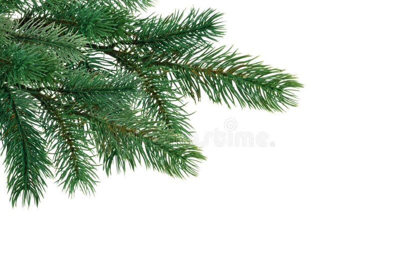 Transparent Branch Corner Clip Art Stock Photos - Free & Royalty-Free ...