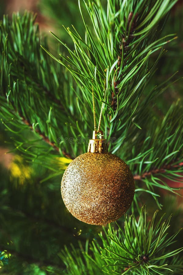 Christmas Tree Branch with Golden Ball Stock Image - Image of ...