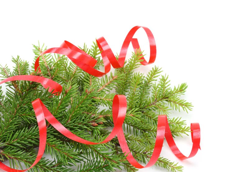 Christmas Tree Branch and Red Ribbon Stock Image - Image of holiday ...