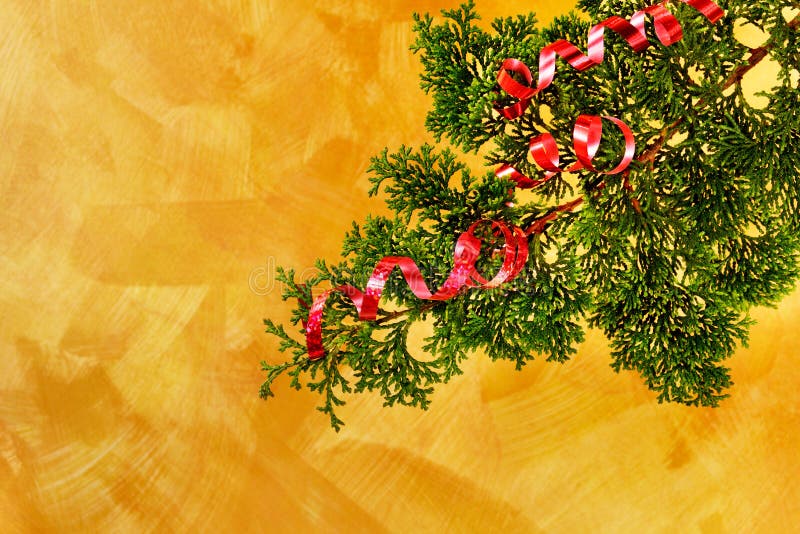 Christmas Tree Branch with Red Ribbon Decoration Stock Image - Image of ...