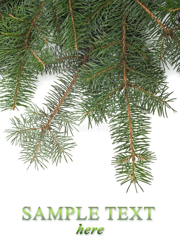 Christmas Tree Branches Border Stock Photo - Image of branch, decor ...