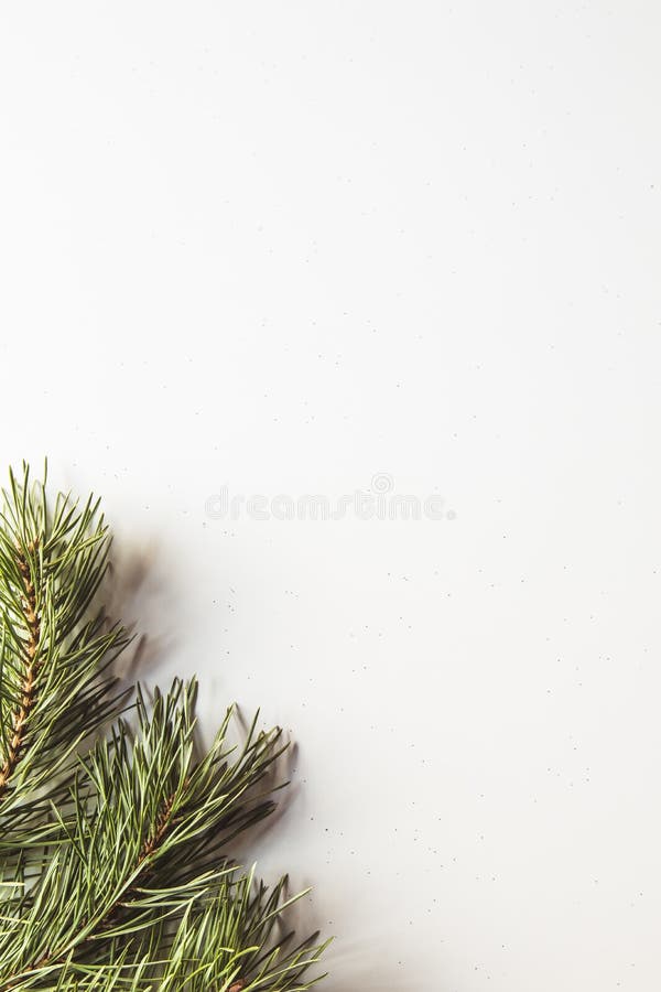 Christmas Tree Branches Border Over White Stock Photo - Image of corner ...