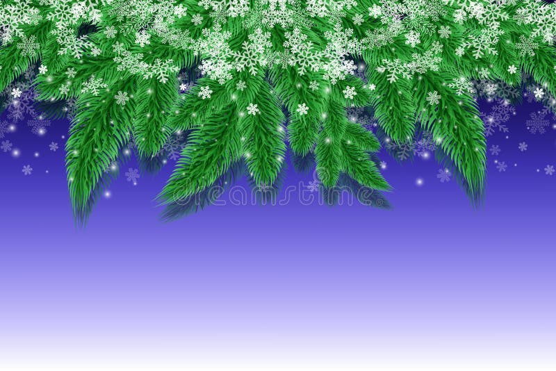 Christmas Tree Branches Border and Snows. Vector Illustration EPS10 ...