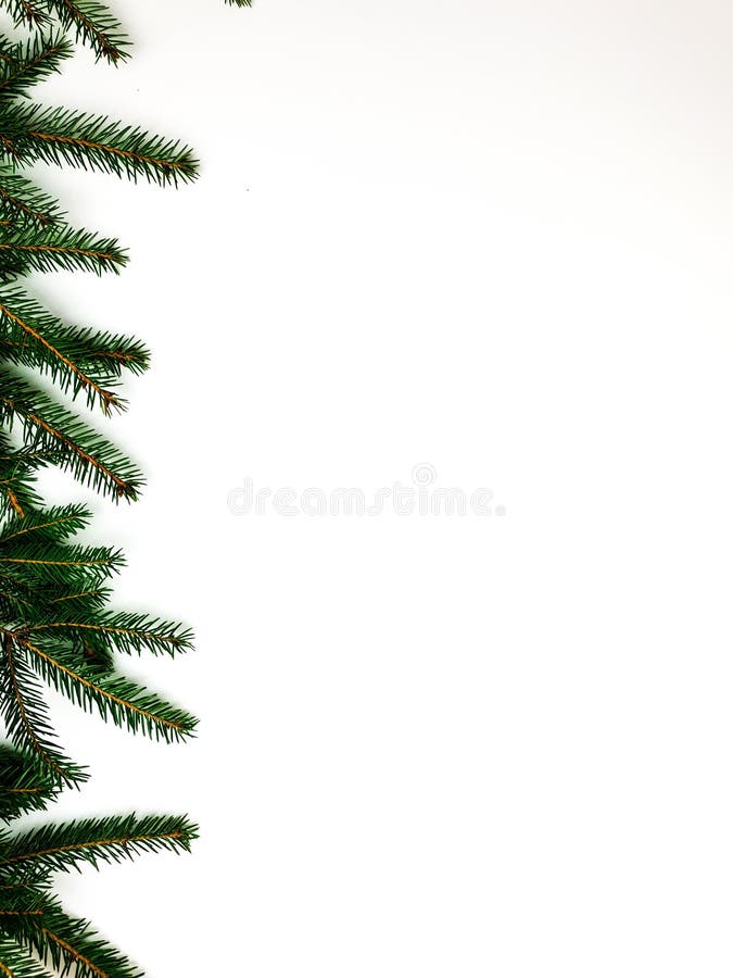 Christmas Tree Branches Border on a White Background, Empty Space and ...