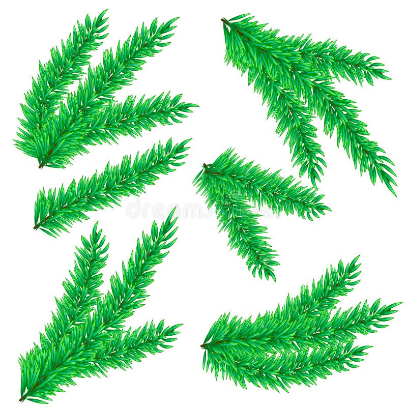 Christmas Tree Branches Set for Decoration. Spruce Branches of ...