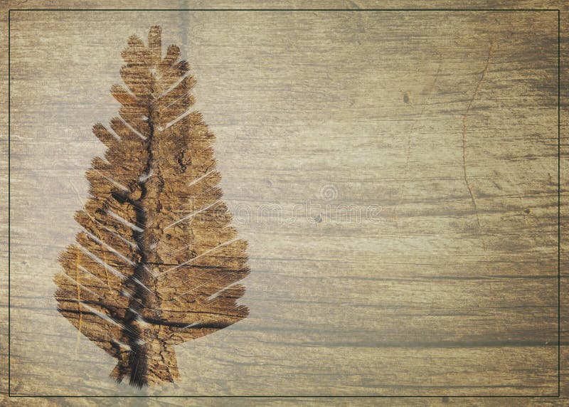 Christmas Tree Brushed Onto Rustic Wood Surface Stock Illustration ...