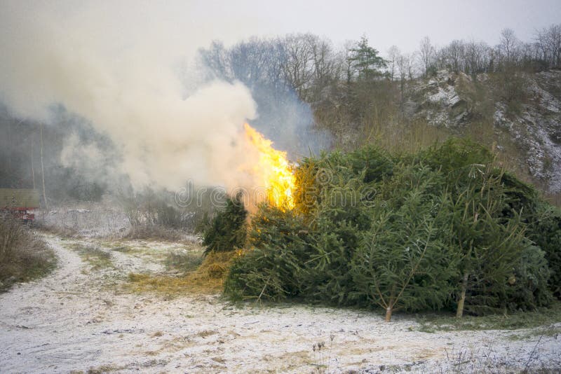 Christmas tree burning stock photo. Image of country - 88154234