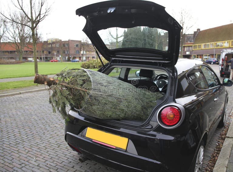Christmas tree in car stock photo. Image of outdoors - 26258744