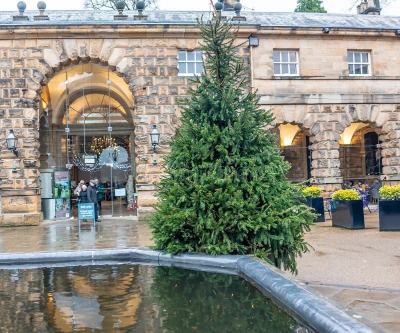 Outdoor Christmas Tree in a Quiet Courtyard Editorial Photo - Image of ...
