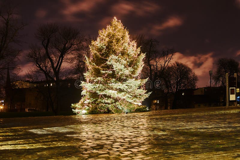 Christmas Tree in City Park at Night Stock Image - Image of winter ...