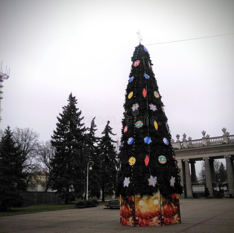 Christmas Tree in the City Park on a Street Editorial Photography ...