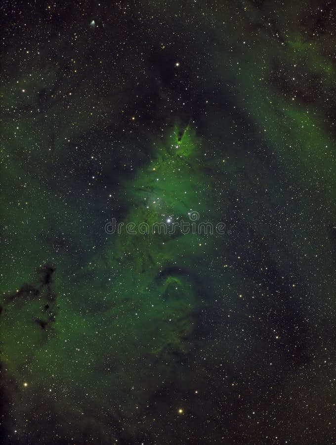 Christmas Tree Cluster Nebula Stock Photo - Image of nebula, cone ...