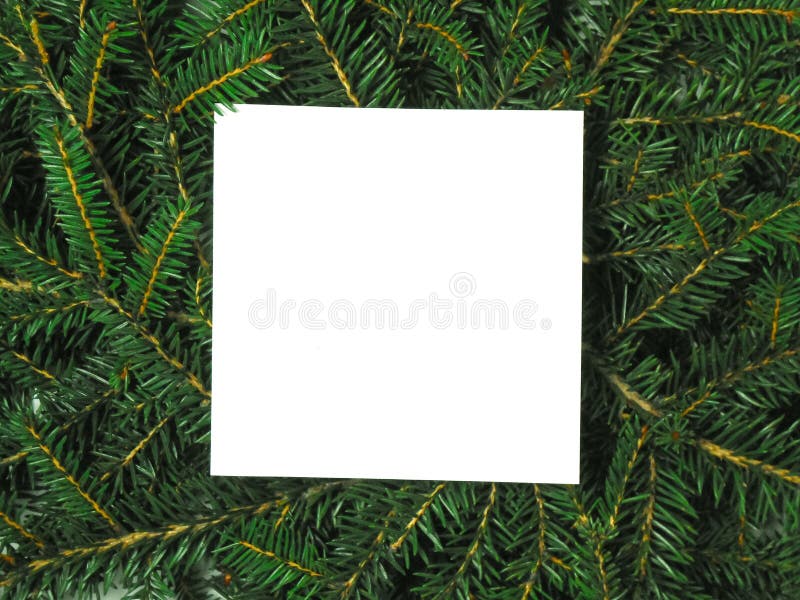 Christmas Tree Concept. Layout Made of Christmas Tree Branches with ...