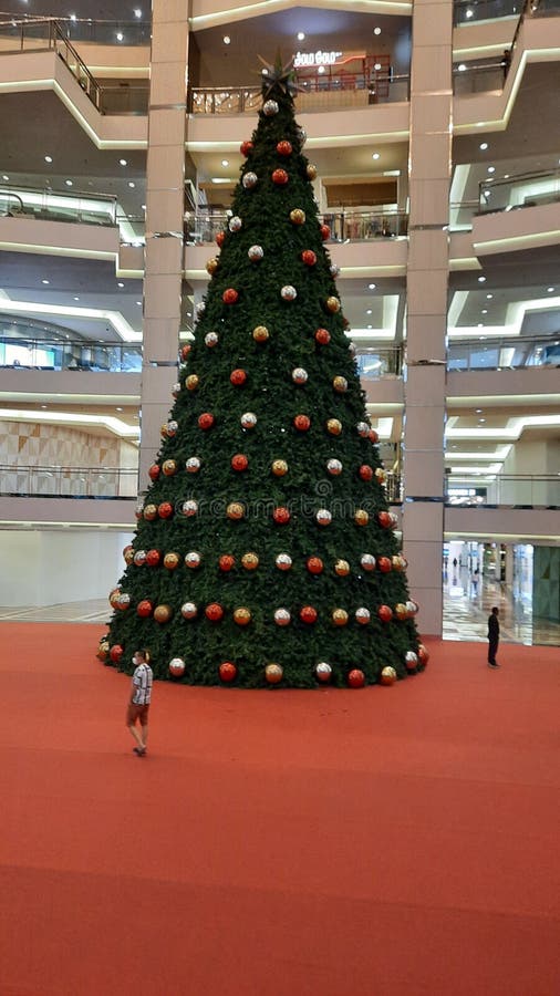 The Christmas Tree in December Editorial Photography - Image of light ...