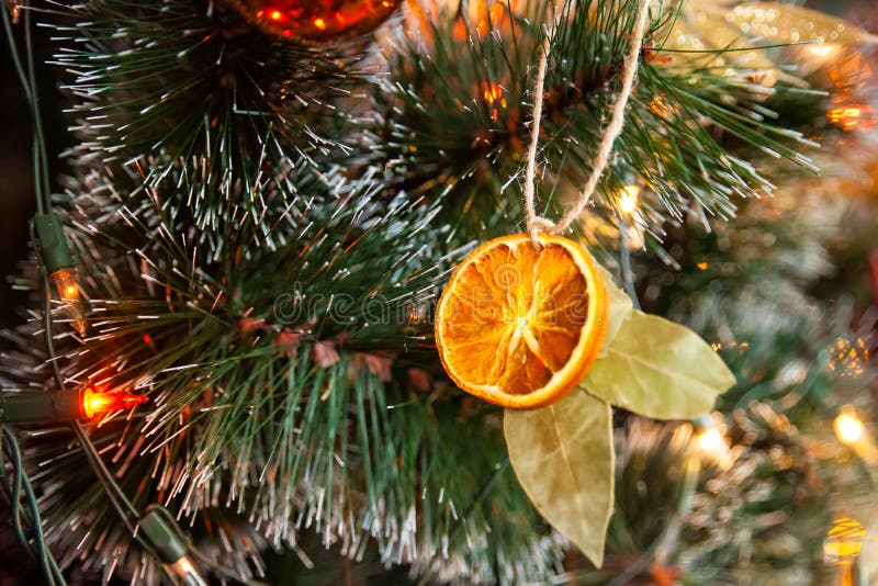 Christmas Tree Decor with Dried Orange Stock Image - Image of beautiful ...