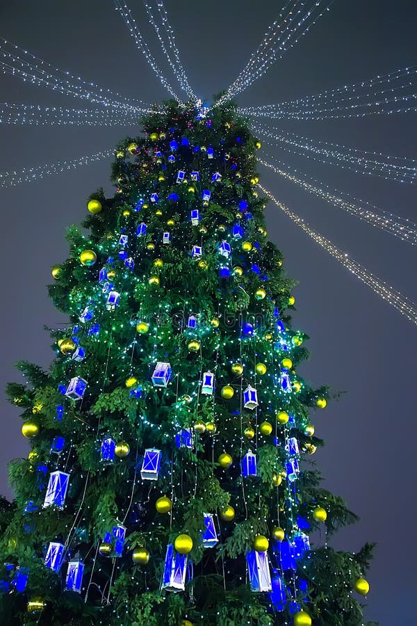 Christmas tree at night stock photo. Image of mulled - 136509146