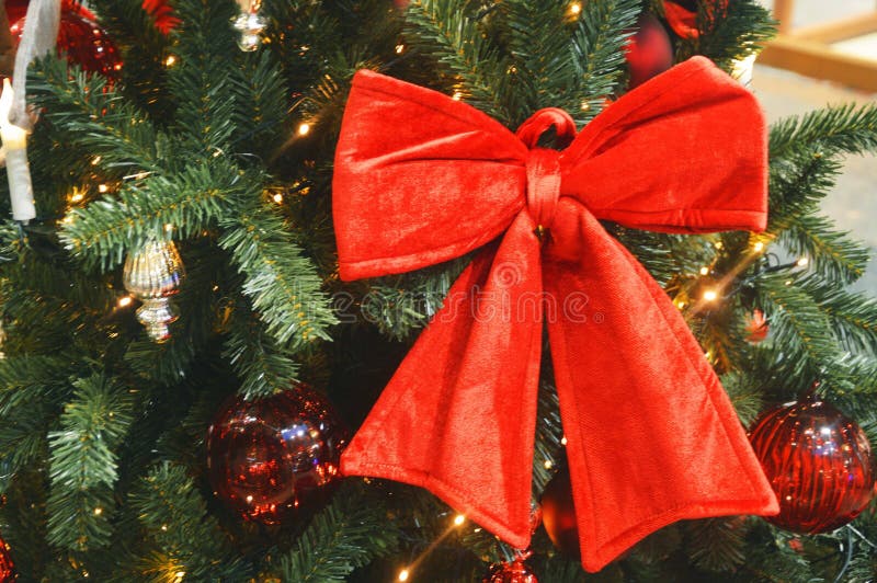 A Large Beautiful Red Bow on the Branches of a Christmas Tree ...