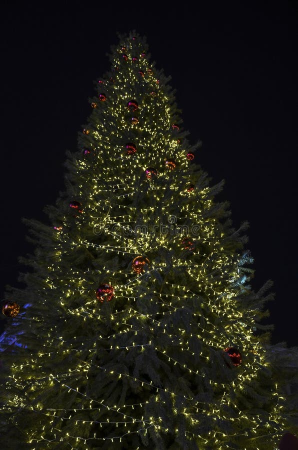 Christmas Tree Decorated by Lights Outside at Night Stock Image - Image ...