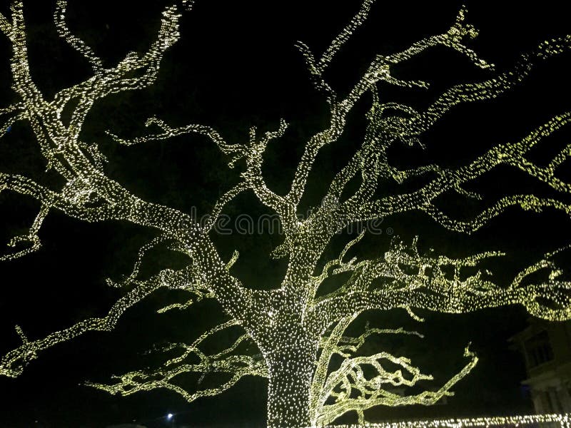 Christmas tree decoration stock photo. Image of white - 77782864