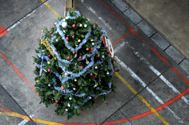 Christmas tree stock photo. Image of tree, space, holiday - 35905684