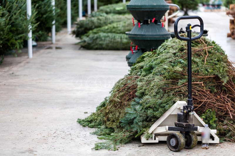 Christmas tree farm stock photo. Image of evergreen, plant - 47345702