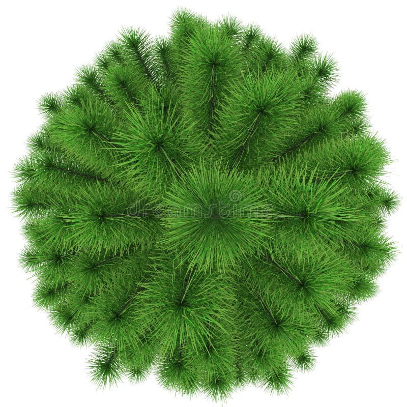 Christmas Tree - Top View - Decorated with Red Christmas Balls - Stock ...