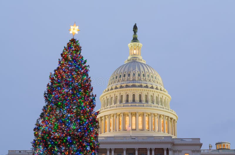 US Capitol Christmas Tree editorial stock photo. Image of celebrate ...