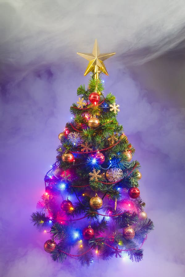 Christmas Tree in Frozen Mist Stock Photo - Image of cold, mist: 81358440