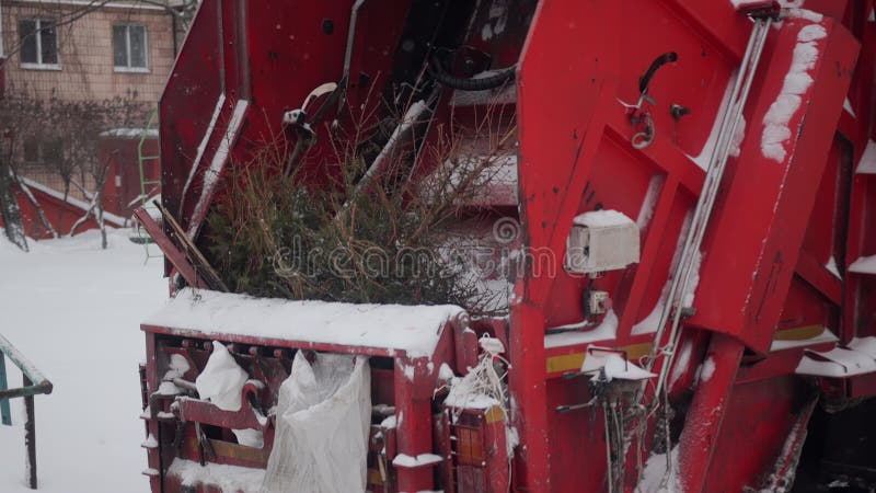 Christmas Tree in a Garbage Truck in Winter. the Concept of Cleaning ... Christmas Tree in a Garbage Truck in Winter. the Concept of Cleaning ...