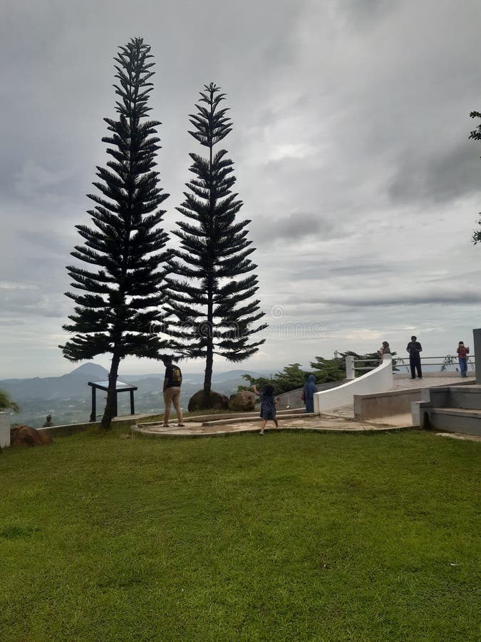 Garden in Resort Hotel in Tanzania Stock Photo - Image of hotel, palms ...