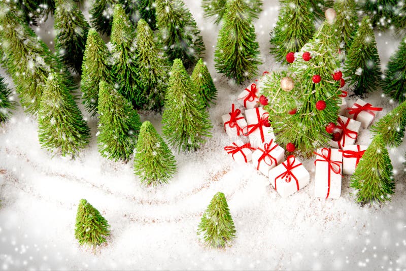 Christmas Tree and with Gifts in the Forest Stock Photo - Image of life ...