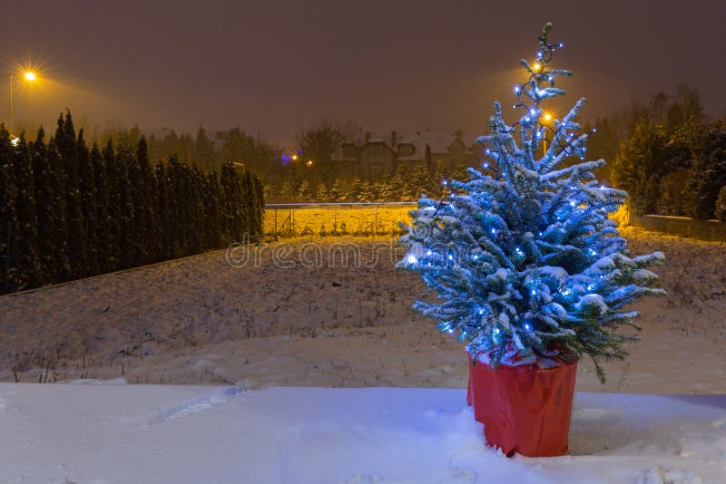 Christmas Tree Illuminated Outdoor at Snowy Night Stock Image - Image ...