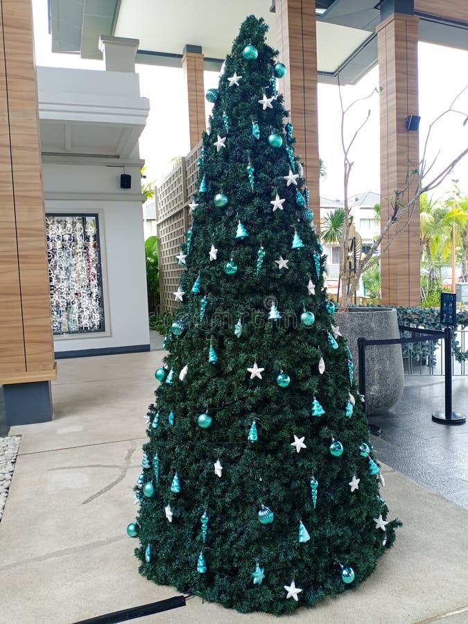 Christmas Tree is an Important Element in the Month of Christmas ...