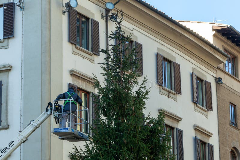 Christmas Tree Installation in the Central Square of Florence. Workers ...