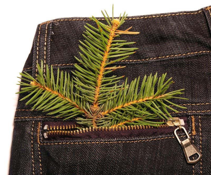 Christmas Tree in Jeans Pocket Stock Photo - Image of seam, pockets ...
