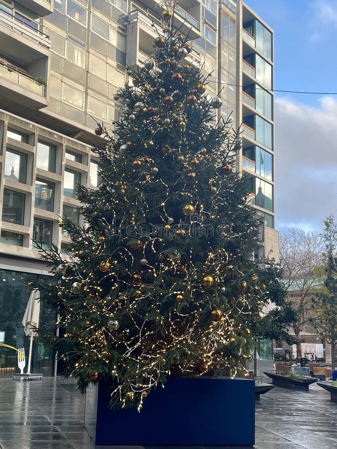 Christmas Tree in Kings Cross London Stock Image - Image of plant ...