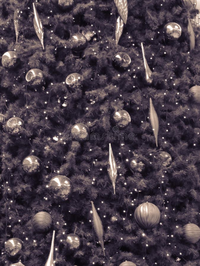 Christmas Tree stock photo. Image of white, tree, sharp - 82296600