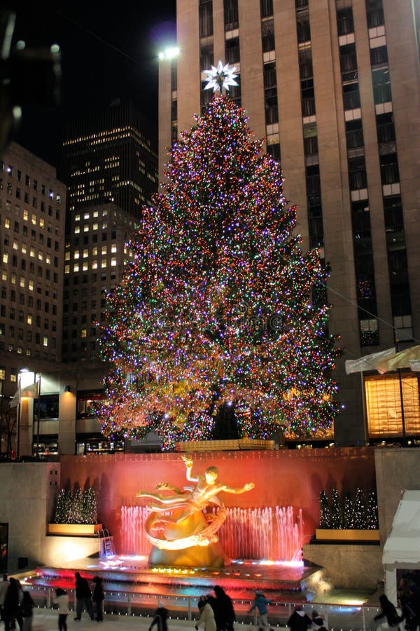 25,679 Christmas Tree Lighting Celebration Stock Photos - Free ...